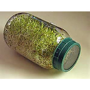 Alfalfa Sprouting Seed, NON GMO -12 Oz -Country Creek LLC Brand - High Sprout Germination- Edible Seeds, Gardening, Hydroponics, Growing Salad Sprouts, Planting, Food Storage & More