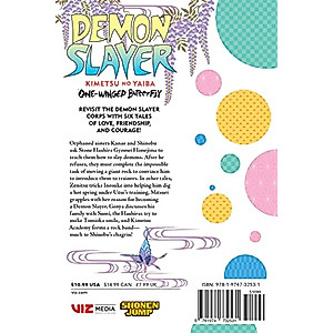 Demon Slayer: Kimetsu no Yaiba―One-Winged Butterfly (Demon Slayer: Kimetsu no Yaiba Novels)