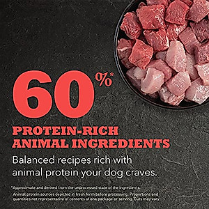 ACANA® Red Meat Recipe, Grain-free Dry Dog Food, 25 lb