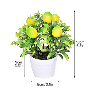 WUHNGD Artificial Plants,Artificial Eucalyptus Plants Potted,Mini Fake Artificial Potted Plants Lemon Tree Potted in Pots for Office Table Stair Balcony Garden Home Decor