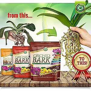 Organic Orchid Potting Bark - Made in USA Premium Medium Bark Garden Soil Amendment Mix for Proper Root Development of Phalaenopsis, Cattleyas, Indoor/Outdoor Plants, Reptile Terrarium Bedding + more!