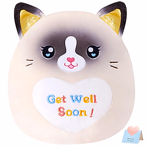 CozyWorld 13.5" Get Well Soon Cat Plush Pillow Soft Cute Cat Stuffed Animal Get Well Soon Gift for Women Girls Kids Patient Feel Better Plush Toy