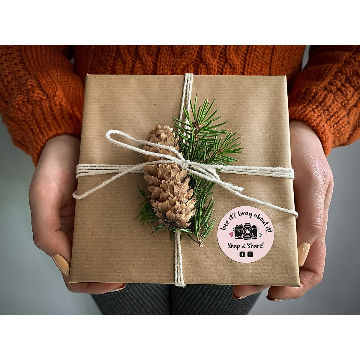 Cute Snap Share with Camera Design Thank You Stickers, Online Retailers Small Business Small Shop Gift Bags Packages Labels Envelopes Stickers, 500 Labels Per Roll