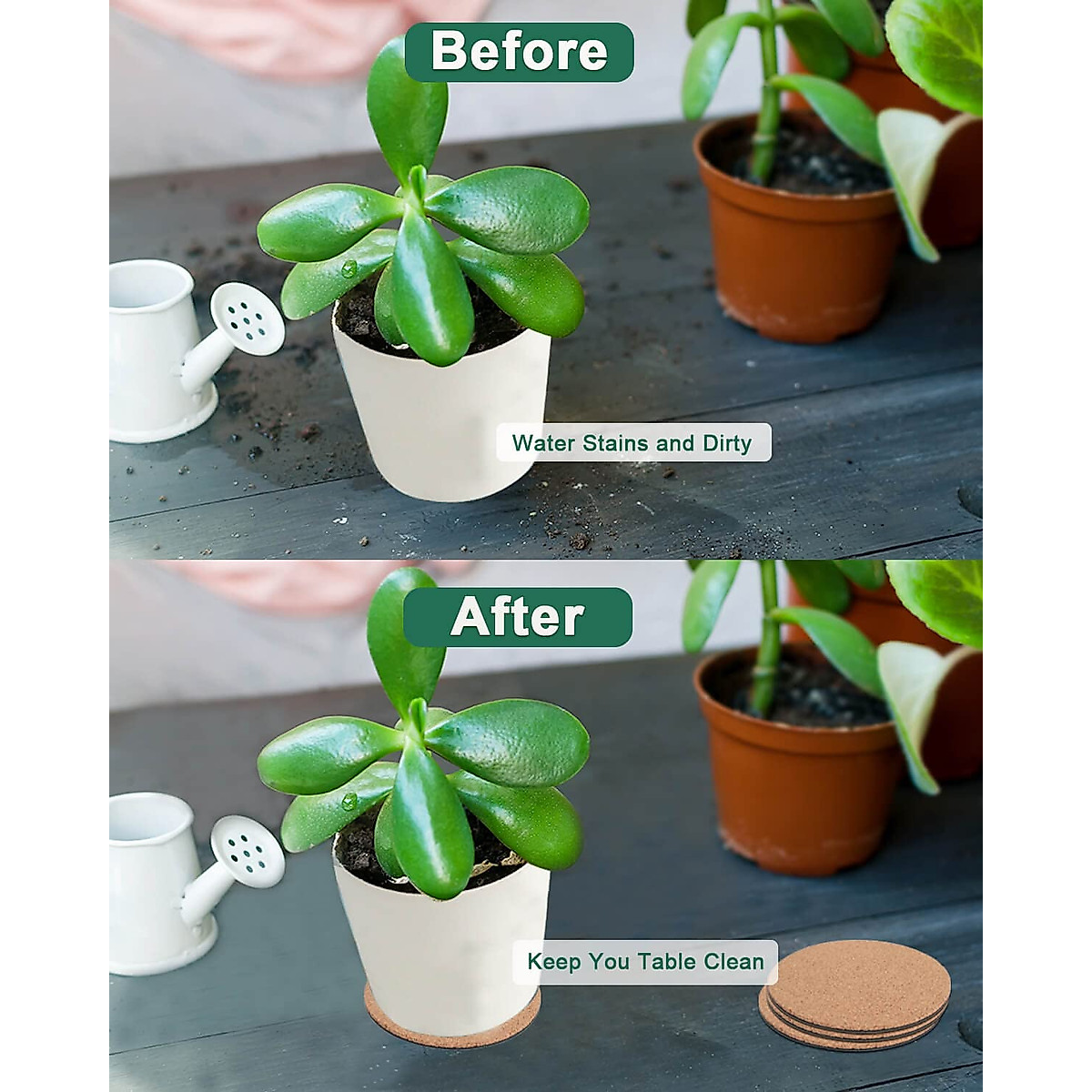 6 Piece Cork Plant Mats - Round Cork Coasters 6 inch, Absorbent Plant Cork Mat Saucer for Pots, DIY Cork Pads