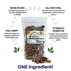 Green Butterfly Brands Beef Dog Treats – Made in USA Only – All Natural, Meaty Beef Tips – Premium Slow Roasted American Beef – Grass Fed, Farm Raised – Crunchy, Grain Free Training Treat, 8 Ounces