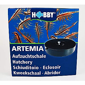 Brine Shrimp Hatchery Dish (Eggs Sold Separately.)