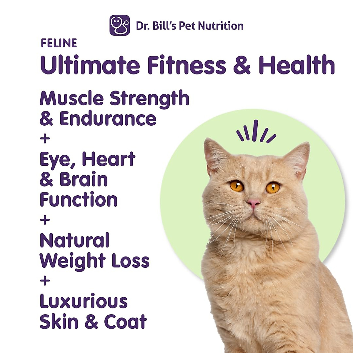 Dr. Bill’s Feline Ultimate Fitness & Health | Cat Multivitamin Supplement Powder for All Ages | For Wellness, Joint Health, Weight Control | Vitamins B1, B6, B12, D3, Omega 3s, Collagen, Biotin & More