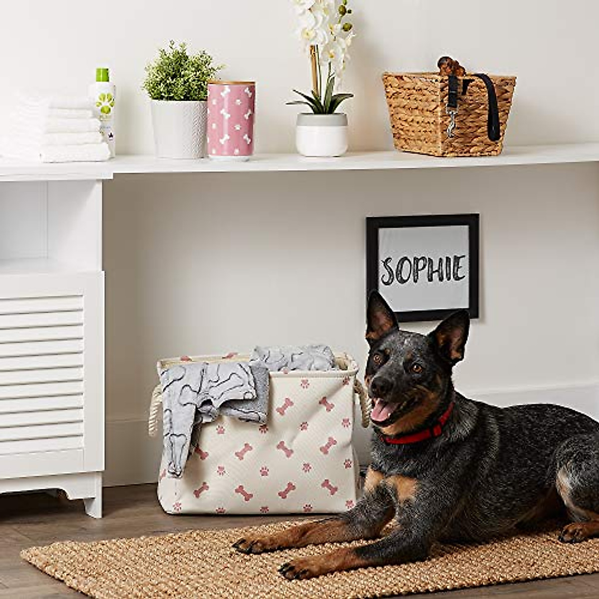 Bone Dry Pet Storage Collection Paw and Bone Print, Small Rectangle, Rose