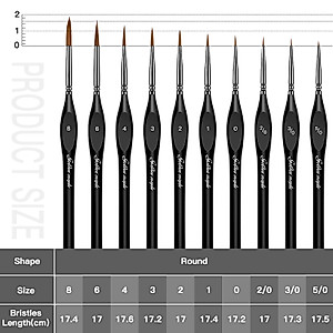 Detail Paint Brushes Set 10pcs Miniature Brushes for Fine Detailing & Art Painting - Acrylic, Watercolor,Oil,Models, Warhammer 40k.