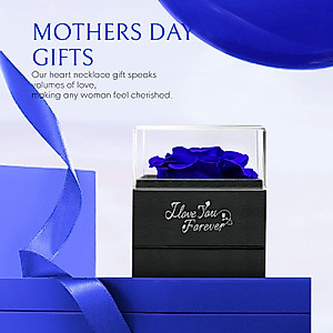 WILDLOVE Preserved Real Red Rose with Necklace in 100 Languages, Gifts for Mom Girlfriend Wife and Grandma on Mothers Day, Anniversary Birthday Gifts for Women