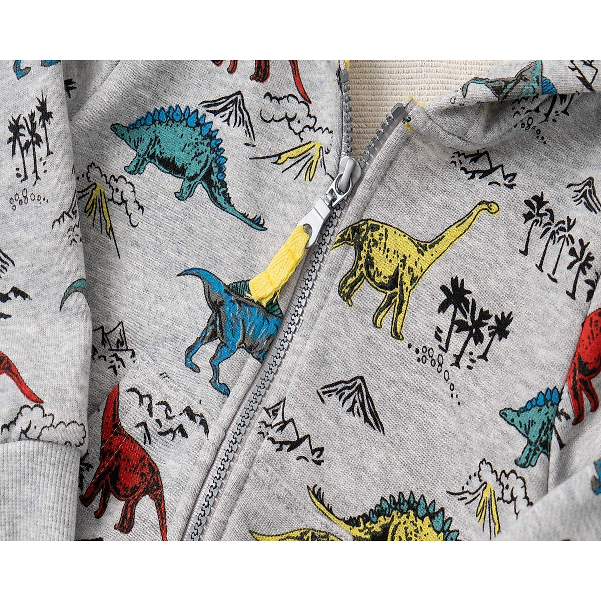 LeeXiang Toddler Boys Full Zip Dinosaur Hoodies Comfortable Sweatshirt (Dinosaur, 4-5T)