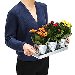 Saratoga Home Small Plant Pots with Drainage Holes Use as Herb Garden Planters, Shallow Planter, Succulent or Flower Pots, Outdoor Indoor Planter Pots with Drainage & Tray, 3 Set of 4 inch Pots