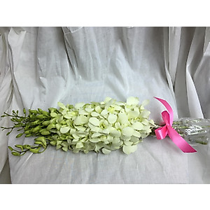Fresh Cut Flowers - Dendrobium Orchids White