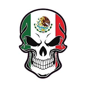 WickedGoodz Mexico Flag Skull Refrigerator Magnet - Mexican Magnetic Car Decal
