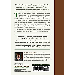 How to Read a Tree: Clues and Patterns from Bark to Leaves (Natural Navigation)