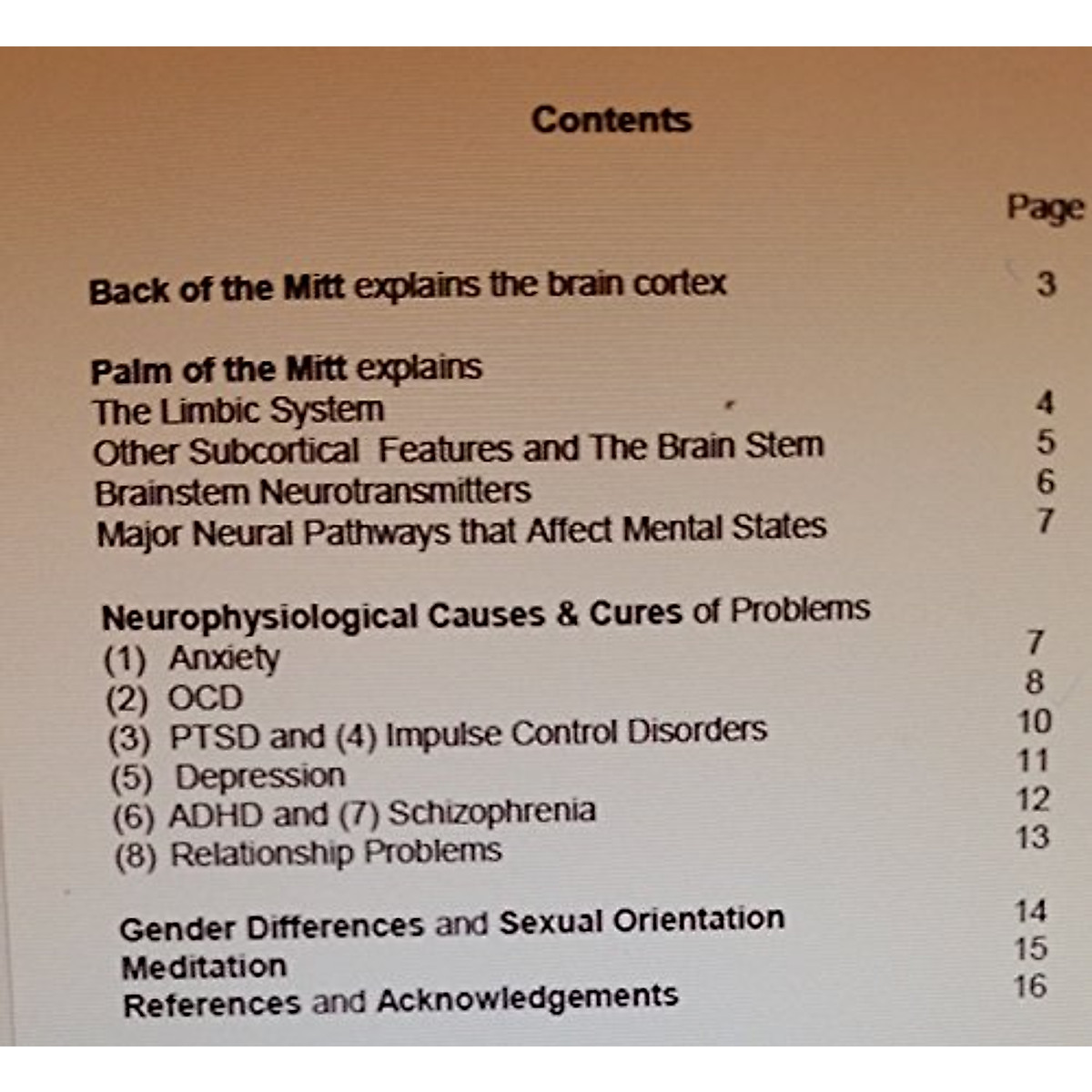Handy Brain Model B-1.2 (adult medium)