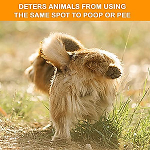 MICROBE-LIFT Outdoor Pet Odor Eliminator For Strong Odor On Turf, Patios, Deck, and Lawns - Keeps Pets From Going in Same Spot, 32oz