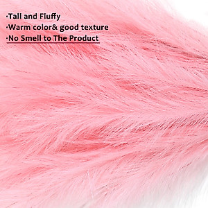 EVODIS Faux Pampas Grass, 18"/45cm Artificial Pampas Grass Fluffy 6 Stem pompous Grass Flower Arrangement for Boho Home Wedding Decoration (Pink)