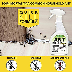 Harris Ant Killer Spray, 20 oz for Indoor and Outdoor Use