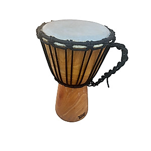 Djembe Beginner Plain,12" tall, 6.5-7" head