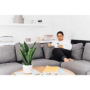 DUZYXI Artificial Snake Plants 16" with White Ceramic Pot Sansevieria Plant Fake Snake Plant Greenery Faux Plant in Pot for Home Office Living Room Housewarming Gifts Indoor Outdoor Decor-Green