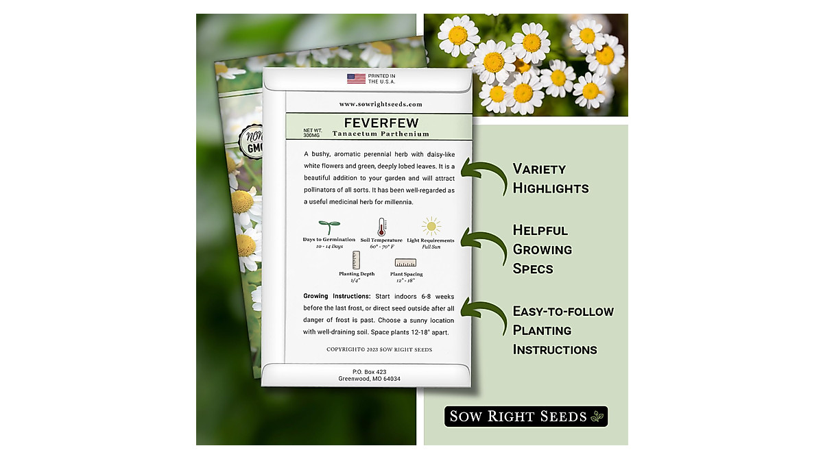 Feverfew Seeds - Easy-to-Grow Medicinal Herb for Herbs & Tea