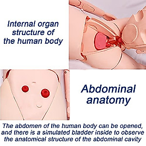BIUYYY Nursing Manikin PVC Nursing Training Mannequins with Simulation Visceral and Replaceable Wound Modules and Storage Bag for Students Education Teaching Medical Training Skills