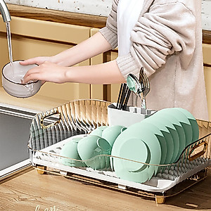 Hiceeden Dish Drying Rack with Utensil Holder, Plastic Dish Bowl Rack Dish Drainer with 360° Swivel Spout, Space-Saving Drying Rack with Handle for Home Kitchen Counter, Rustproof, Clear