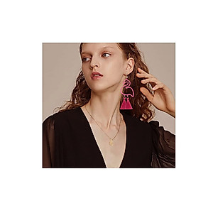 Pink Flamingo Exaggerated Long Dangle Drop Earrings Retro Creative Hollow Fashion Cute Animal Bird Boho Jewelry for Women -Pink