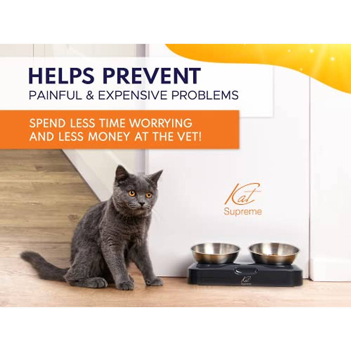 KatSupreme Tilted Cat Food Bowls - Raised Cat Food Bowls, Anti Vomiting Cat Bowl Set, Stainless Steel Cat Bowls with Stand, Orthopedic Cat Bowl, Elevated Cat Bowls Set