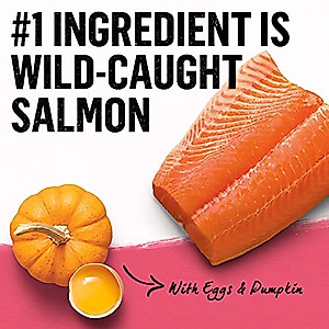 Purina Beyond Natural Dry Dog Food, Superfood Blend Salmon, Egg & Pumpkin Recipe - 3.7 lb. Bag