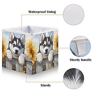 YMGQYJ Cute Husky Collapsible Storage Cube, Foldable Closet Organizers Storage Bins with Support Board for Shelf Closet Cabinet 15.7×10.6×6.9 IN