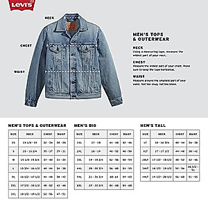 Levi's Men's Trucker Jacket (Also Available in Big & Tall), Colusa/Stretch, Large