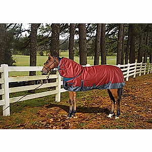 Turnout 1680D Horse Winter Waterproof with Neck Cover - Horse Blanket 001 - Size from 69" to 83" (75")