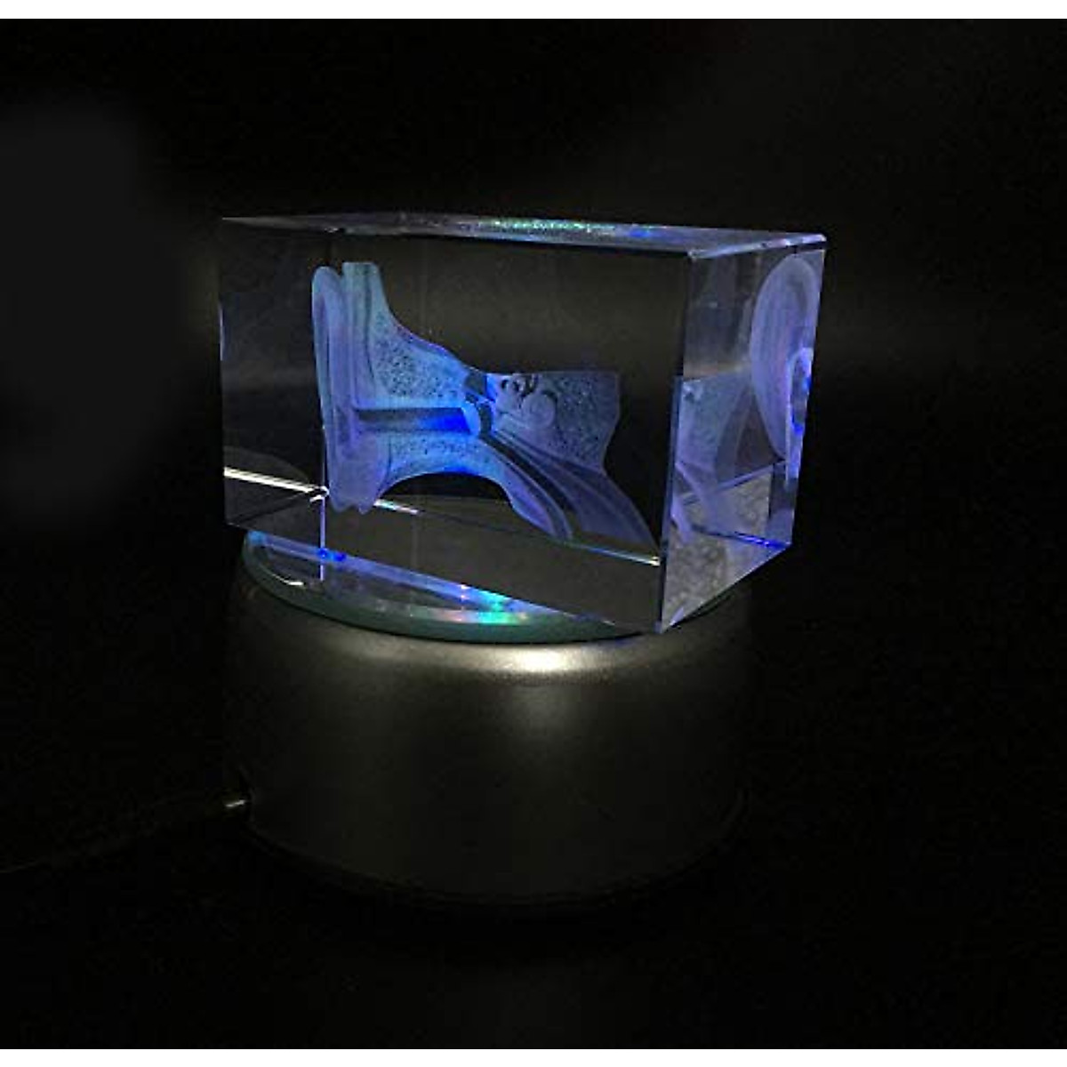 3D Human Ear Anatomical Model Paperweight(Laser Etched) in Crystal Glass Cube Science Gift (No Included LED Base)(3.1x2x2 inch)