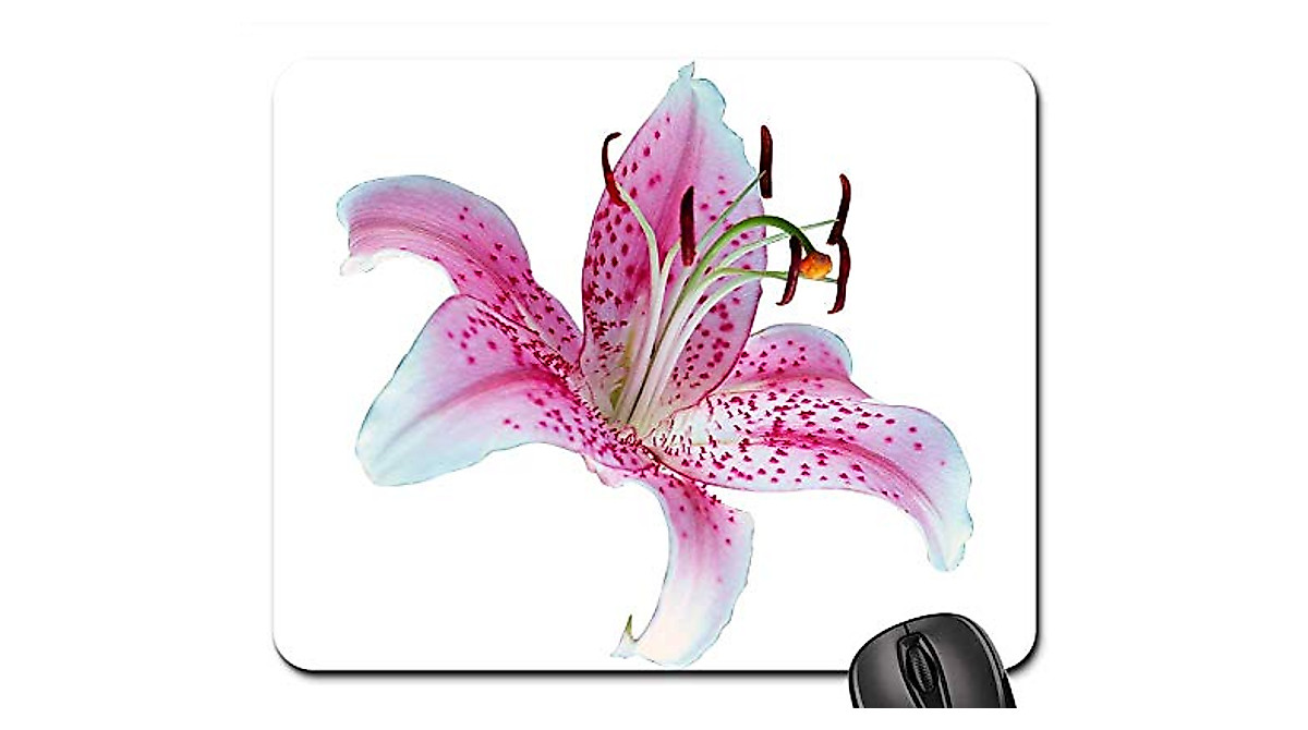 Lilly Bright Flower Mouse Pad - Yuatuwaw