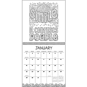 Calm the F*ck Down 2023 Coloring Wall Calendar: Irreverent Adult Coloring