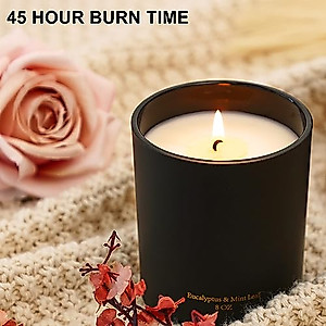 Fixwal 2 Pack Scented Candles for Home, 16oz Natural Soy Candles Gifts for Men&Women, Scented Aromatherapy Candles Soy Wax Glass Jar Candles