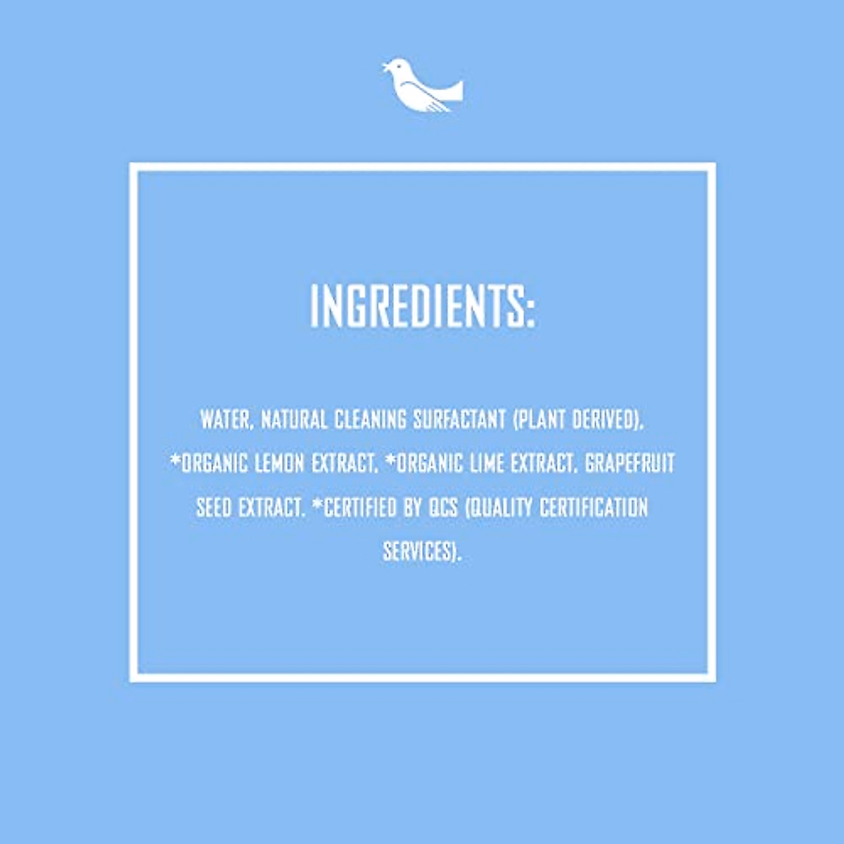 Rebel Green Fruit & Veggie Wash - Natural Produce Wash - Plant-Based Vegetable Wash - Fruit and Vegetable Wash with No Aftertaste - Sustainable Food Wash - (Half Gallon Refill Bottle)