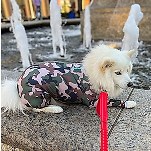 Shed Defender Sport Dog Onesie - Seen on Shark Tank, Shedding Bodysuit for Dogs, Anxiety Vest, Calming Shirt, Hot Spots, Allergy Tick & UV Protection, Recovery Suit, Full Body Shed Suit, Vet Approved