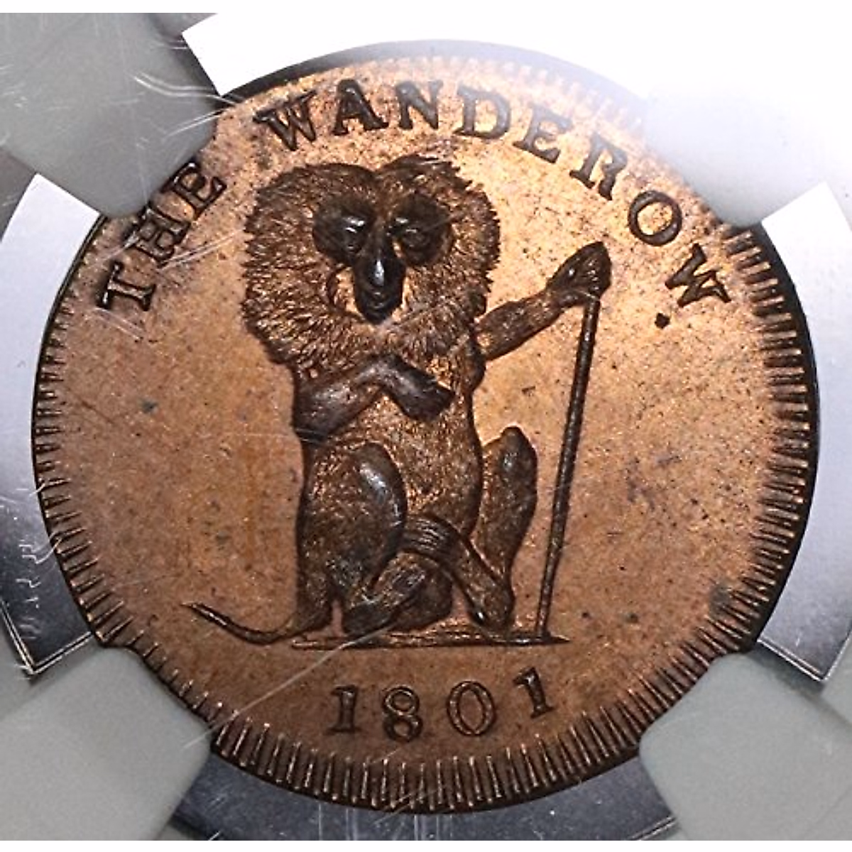 1801 UK Great Britain Conder Token WANDEROW Pidcock's Middlesex D&H 1073 (16091101C) Farthing Mint State NGC MS 64 RB