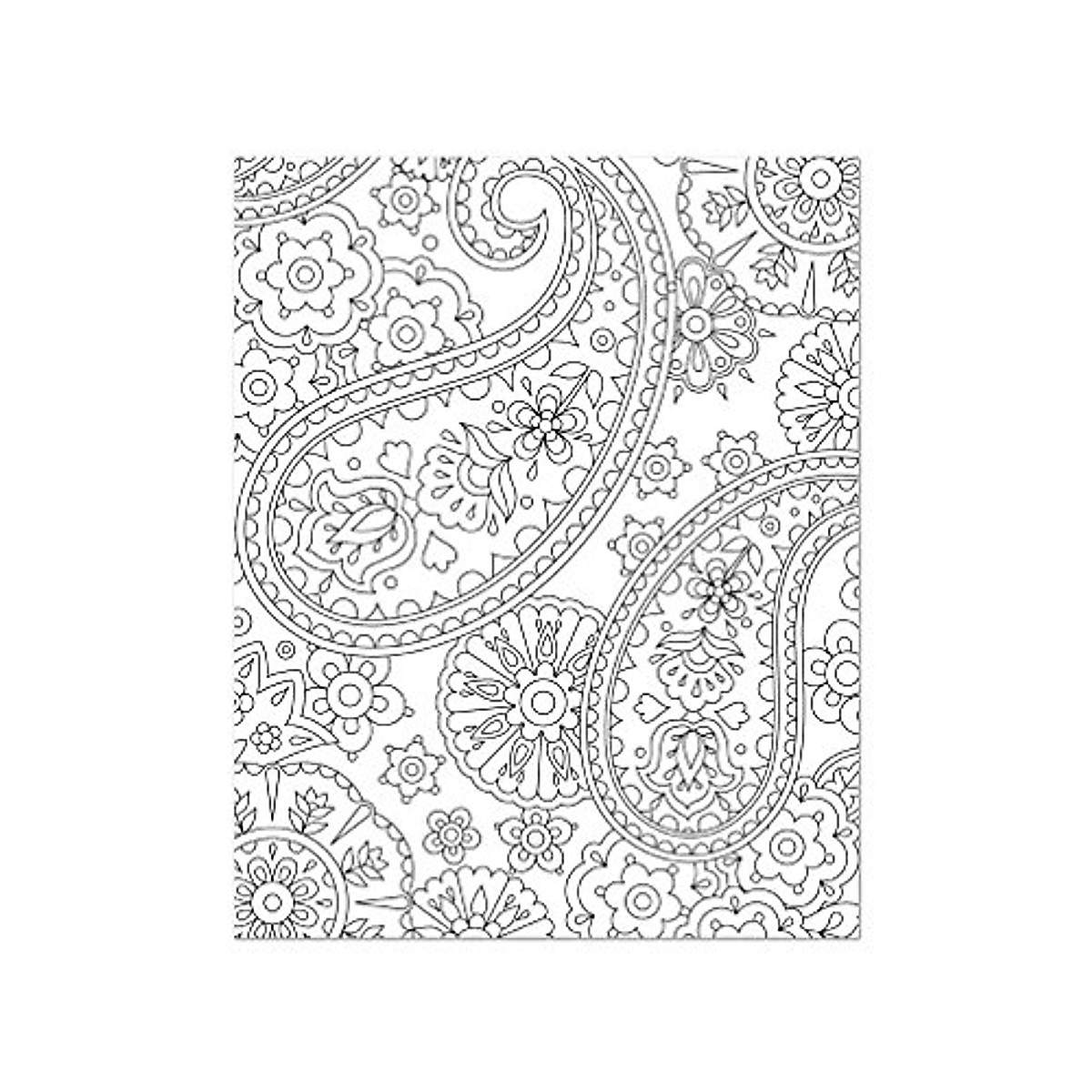 Color & Frame - In the Garden (Adult Coloring Book)
