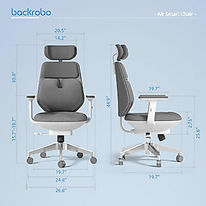 backrobo Smart Ergonomic Home Office Chair, Automatic Massage Lumbar Support and App-Controlled,3D Armrests, Executive Desk Chair with Adjustable Height for Home Office/Learning/Conference