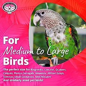 Super Bird Creations SB634 Foraging 4 Way Forager Bird Toy with Clear Acrylic Cups, Medium/Large Bird Size, 12"x7"x7"