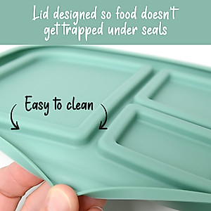 PrimaStella Unbreakable Silicone Lunch Box for Kids and Adults - Leak Proof Divided Bento Box (Green)