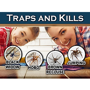 MaxGuard Mini Spider + Insect Traps (24 pcs Box Trap) | Non-Toxic Extra Sticky Glue Traps | Trap and Kill Hobo Spiders, Black Widow Spiders, Brown Recluse Spiders and Crawling Bugs |