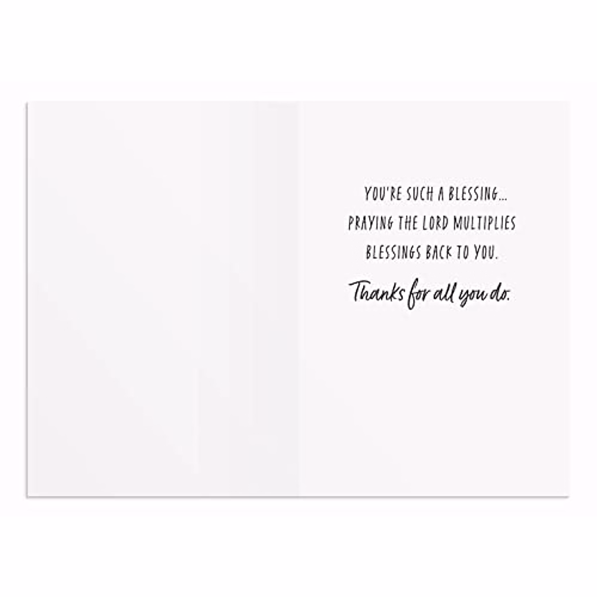 DaySpring - We Give Thanks - 4 Nature Design Assortment with Scripture - King James Version - 12 Thank You Boxed Cards & Envelopes (U0061)