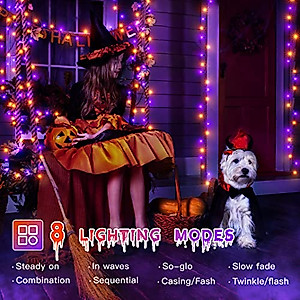Ollny Halloween Lights Outdoor Indoor Decorations, 78FT 240LED Orange and Purple String Lights Waterproof, 8 Modes Plug in Timer Halloween LED Fairy Lights for Party Yard Tree Room Holiday Decor