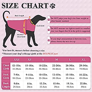 VIVAGLORY Cold Weather Dog Coats, Cozy Water-Repellent Windproof Dog Vest Winter Dog Coat, Warm Pet Apparel for Winter Dog Jacket for Small Medium Dogs with Furry Collar, Fuchsia M