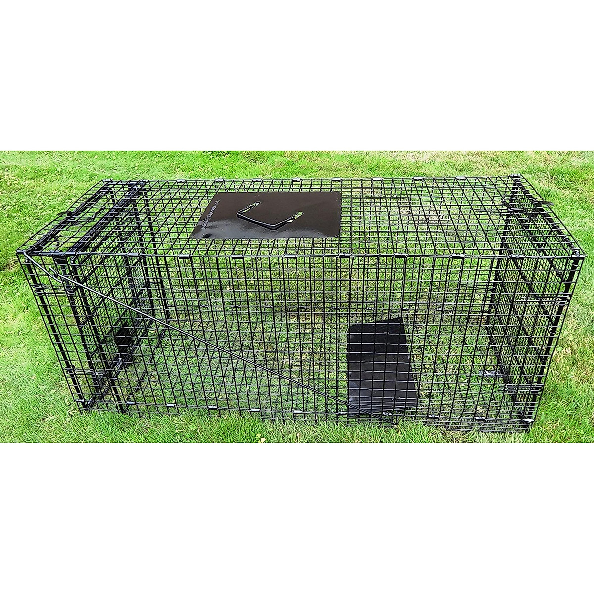 Humane Way Folding 42 Inch Live Humane Animal Trap - Safe Traps for All Animals - Dogs, Raccoons, Cats, Groundhogs, Opossums, Coyote, Bobcat - 42"x16"x18"